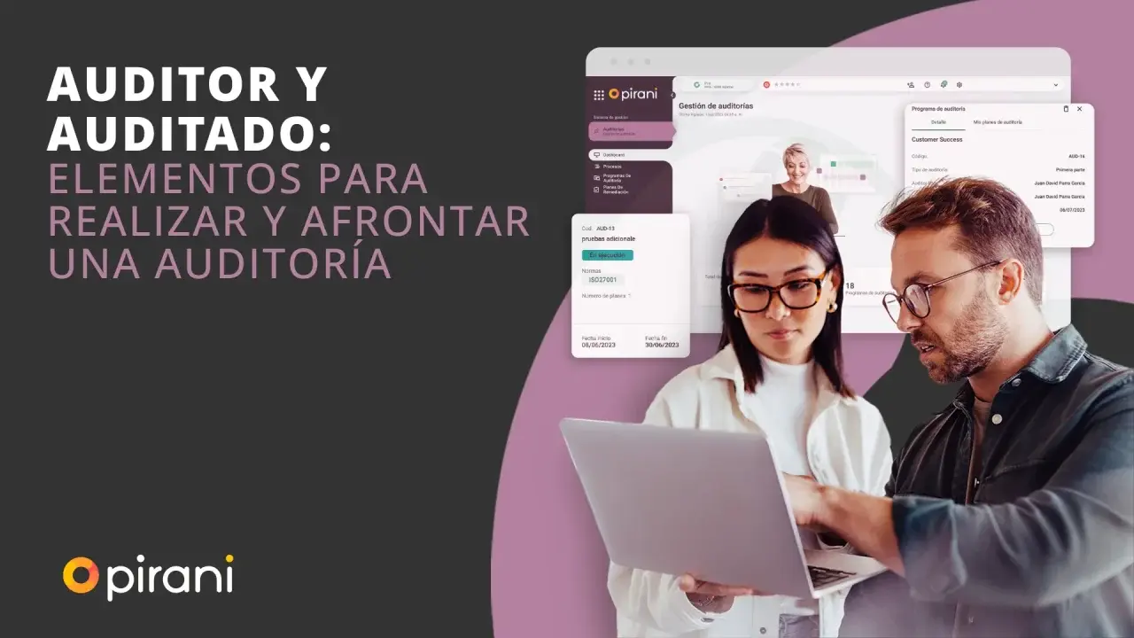 Auditor y auditado: elementos para realizar y afrontar una auditoría